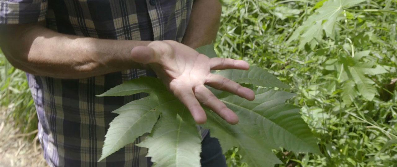 Draw the Line | Ecolint CDA