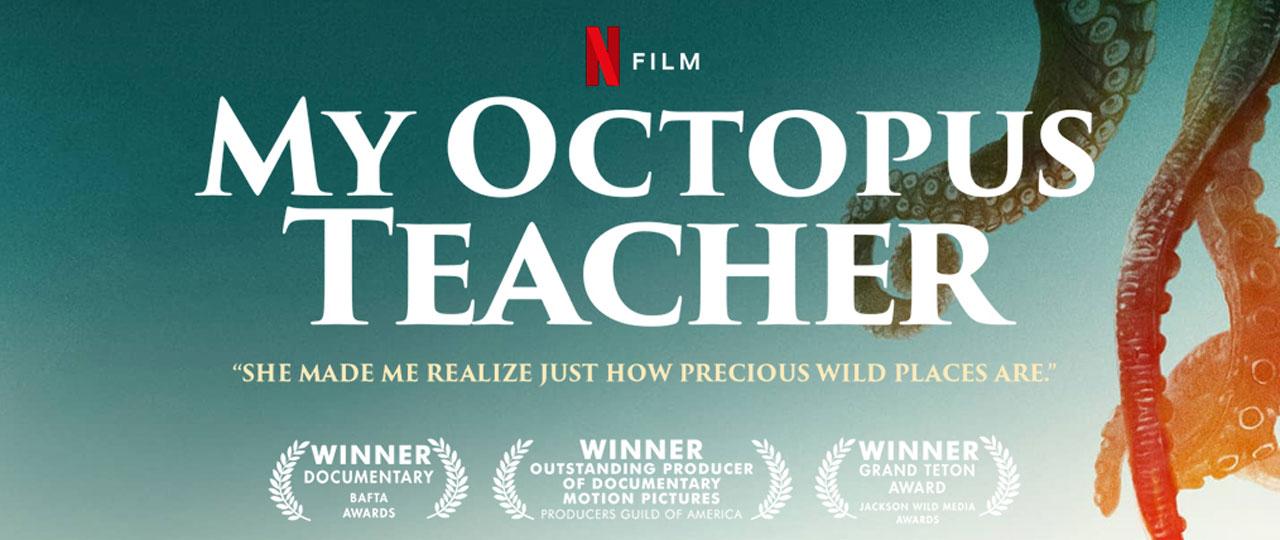My Octopus Teacher | Ecolint CDA